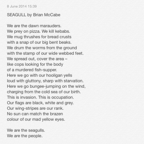 Using Rebecca Perry’s ‘Wasp’ and Brian McCabe’s ‘Seagull’ in a poetry ...