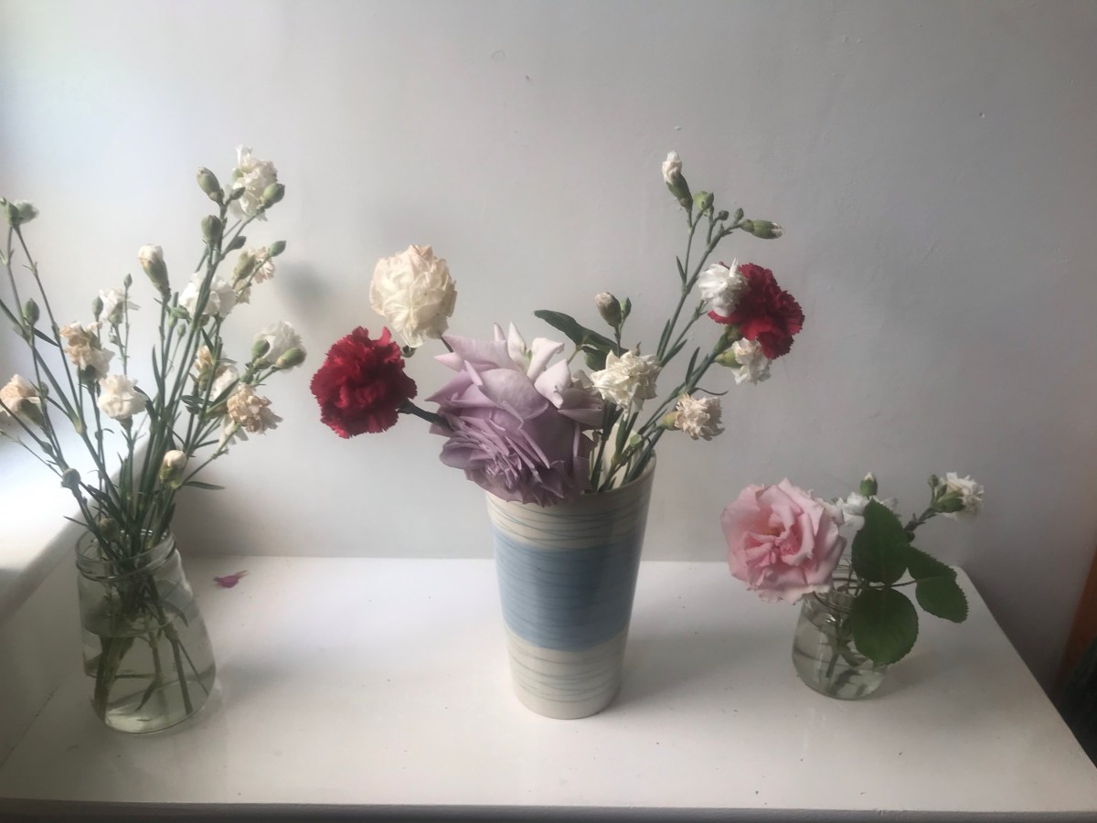 Still here in June – Josephine Corcoran