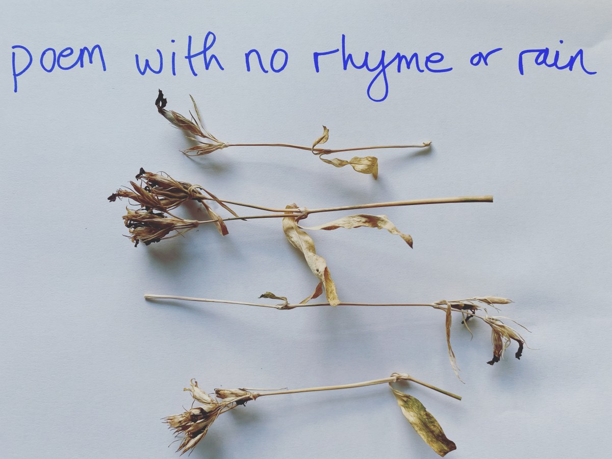 Poem of the Day at the National Poetry Library, UK. – Josephine Corcoran